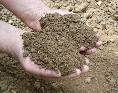 Quel sol pour mon jardin