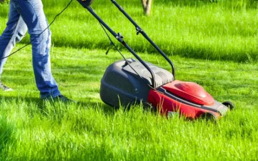 Bien tondre son gazon