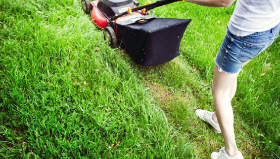 Bien tondre son gazon – jardins du monde.com